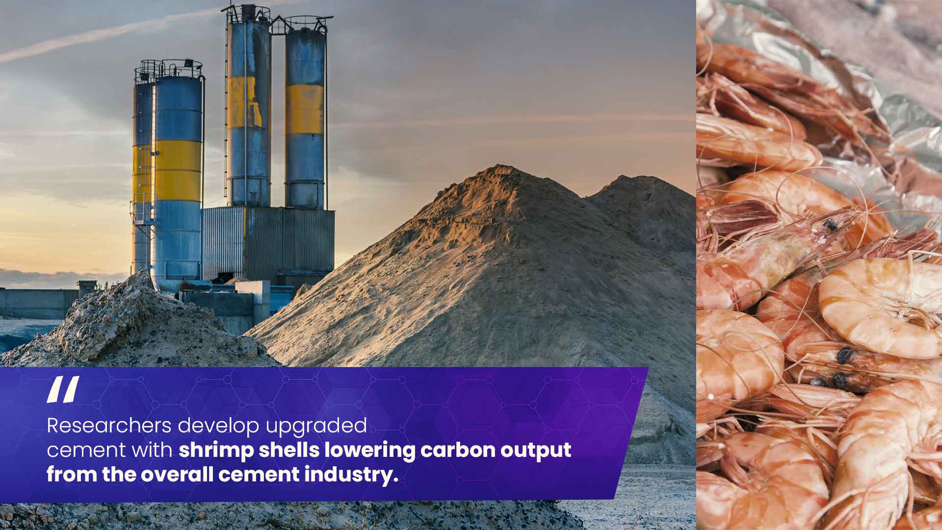 Researchers develop cement with shrimp shells to lower carbon output.