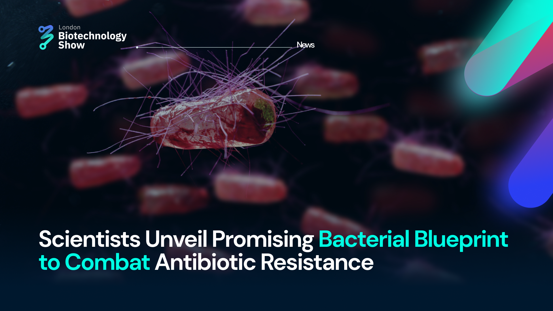 Scientists Unveil Bacterial Blueprint to Combat Antibiotic Resistance