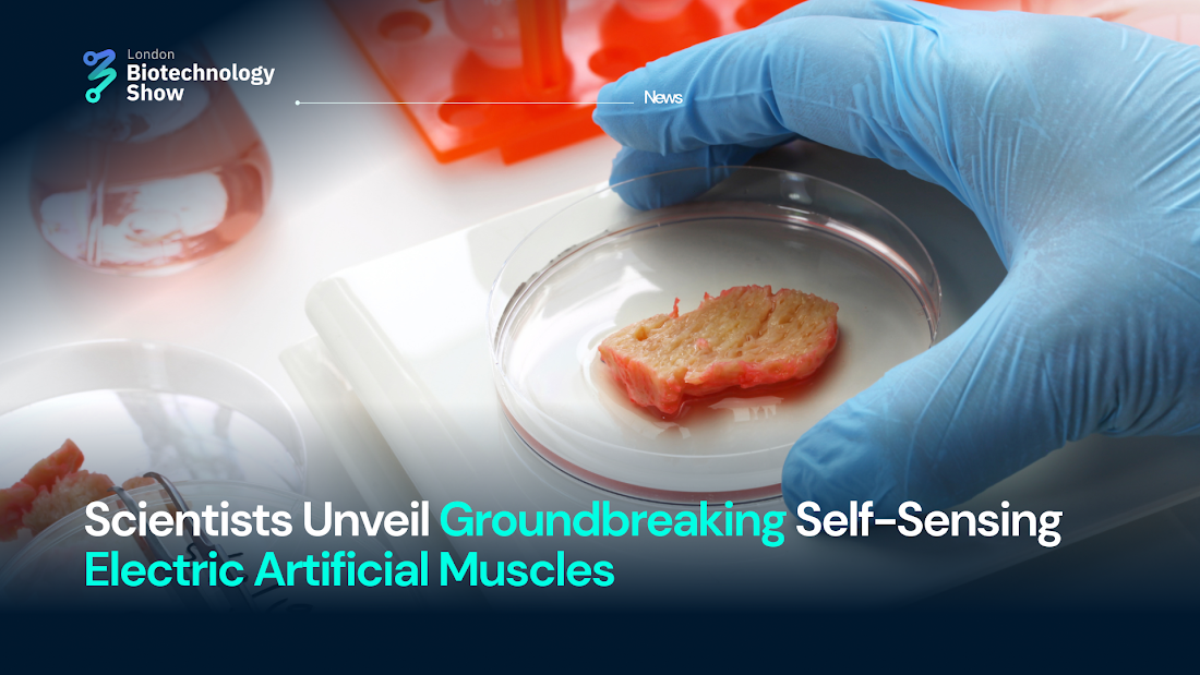 Scientists Unveil Self-Sensing Electric Artificial Muscles