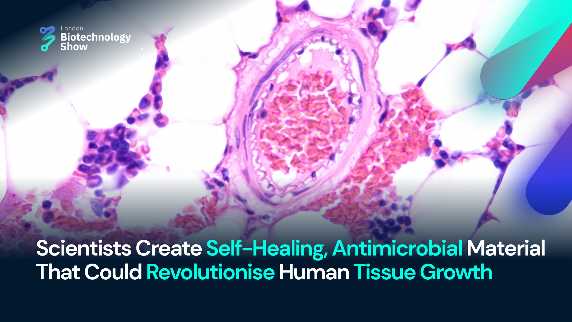 Scientists Create Antimicrobial Material To Revolutionise Tissue Growth