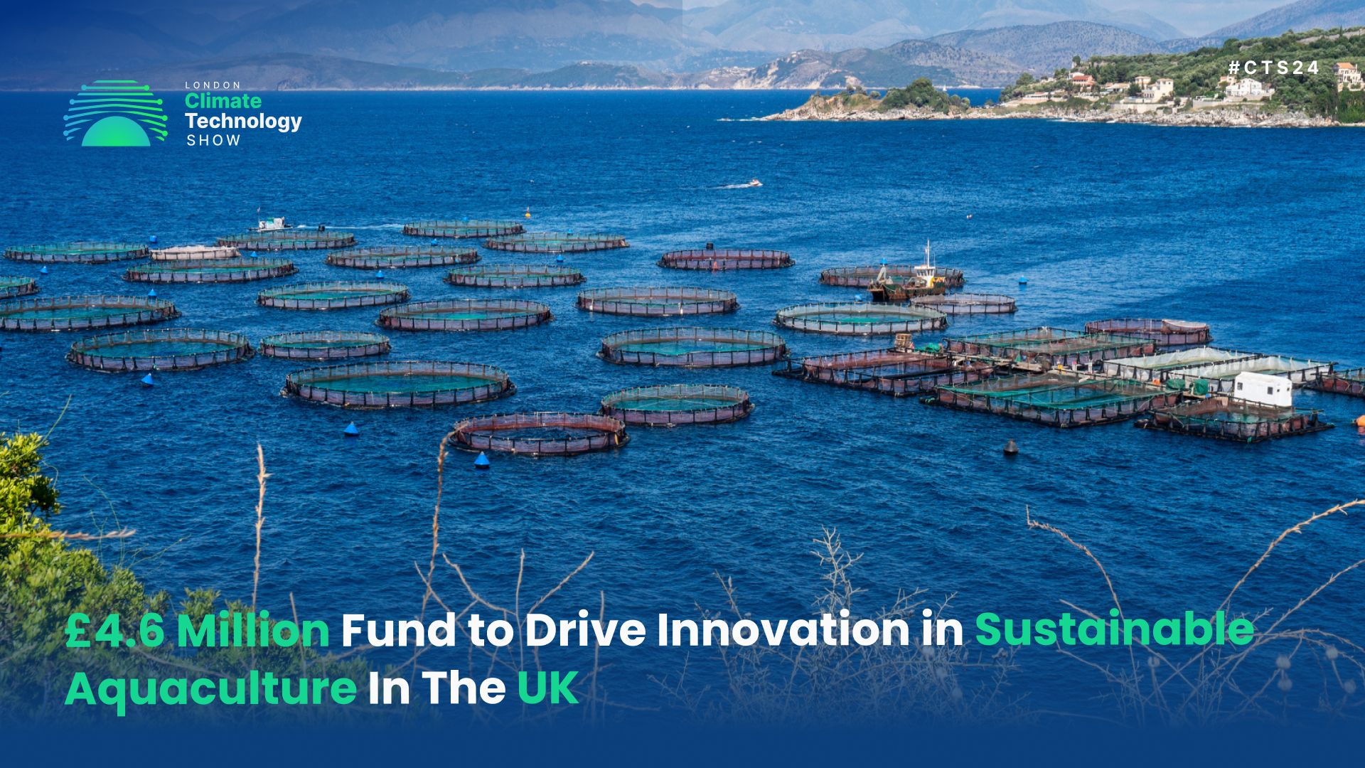 £4.6 Million Fund to Drive Innovation in Sustainable Aquaculture In UK