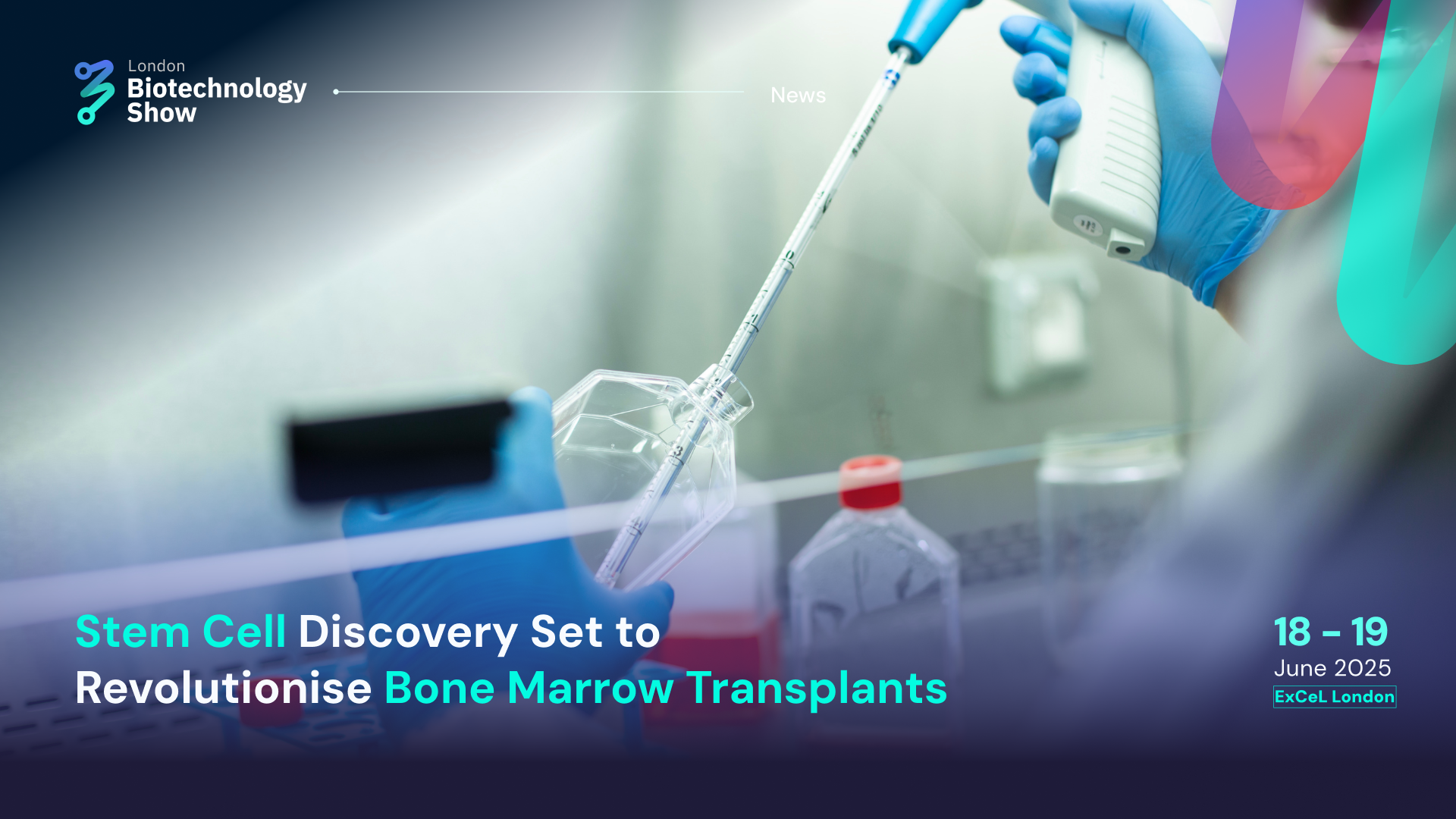 Stem Cell Discovery to Revolutionise Bone Marrow Transplants