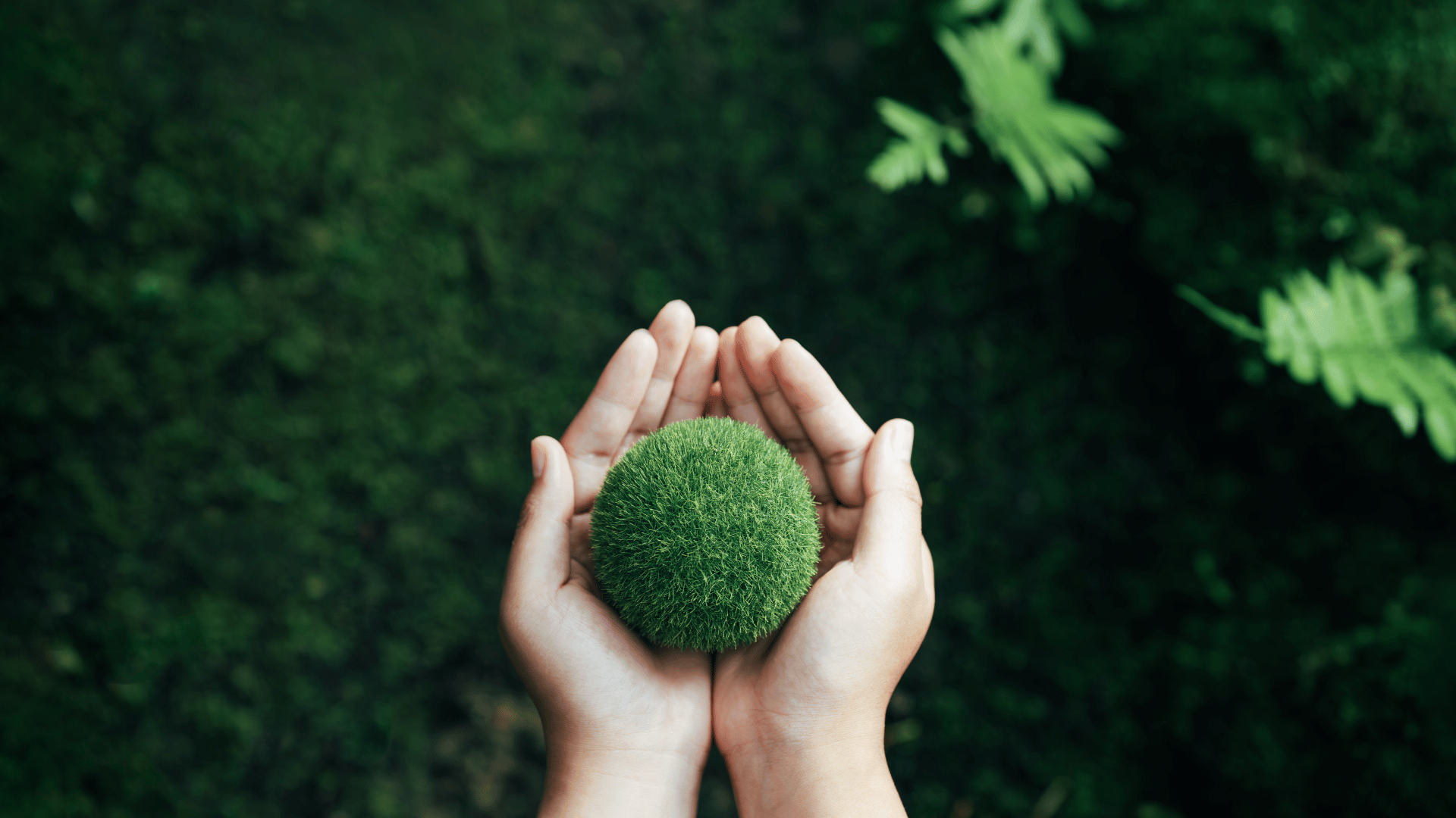 SBTi Revises Corporate Net-Zero Standard, Seeks Stakeholder Feedback SBTi Revises Corporate Net-Zero Standard, Seeks Stakeholder Feedback