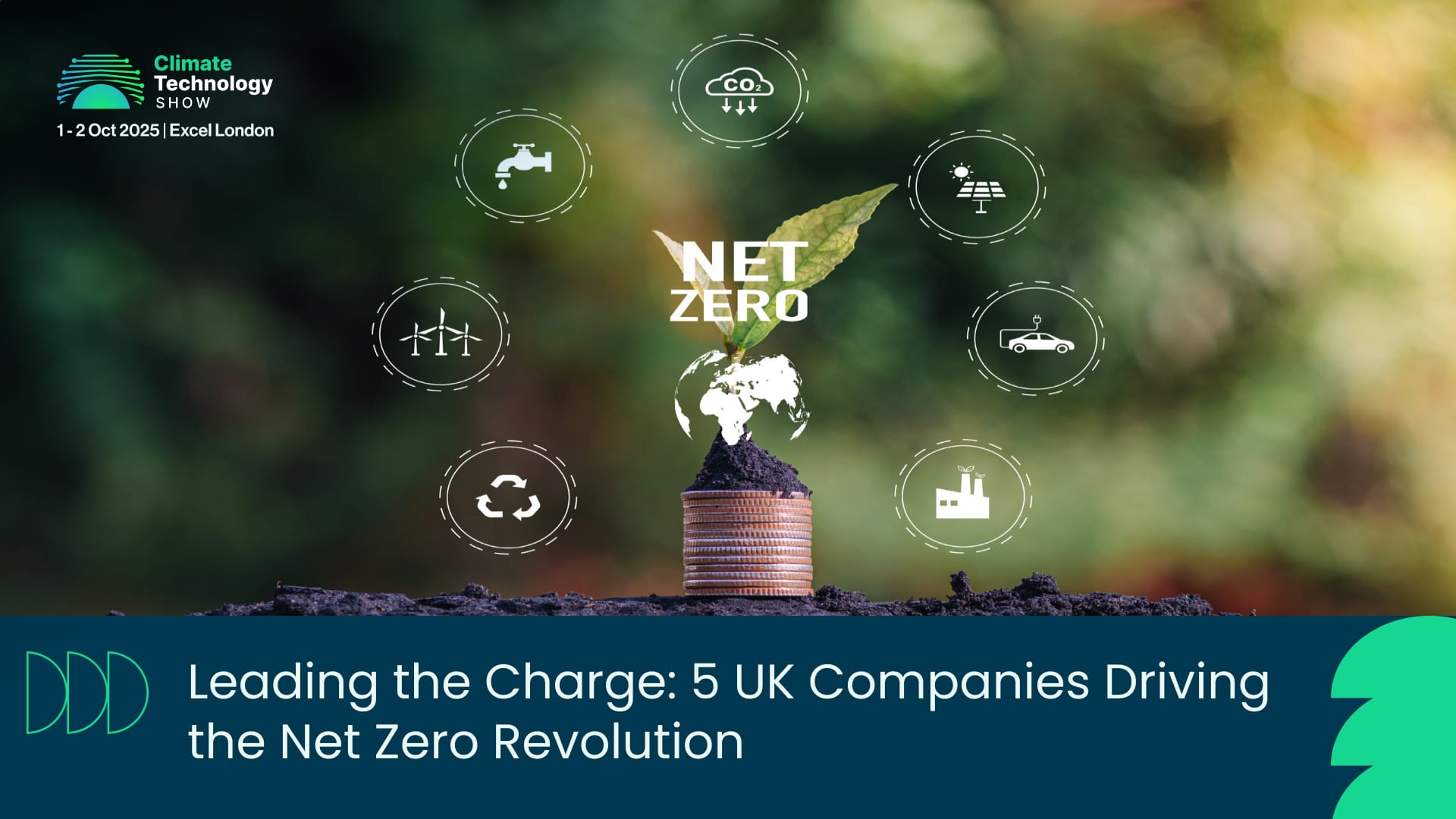 Leading the Charge: 5 UK Companies Driving the Net Zero Revolution
